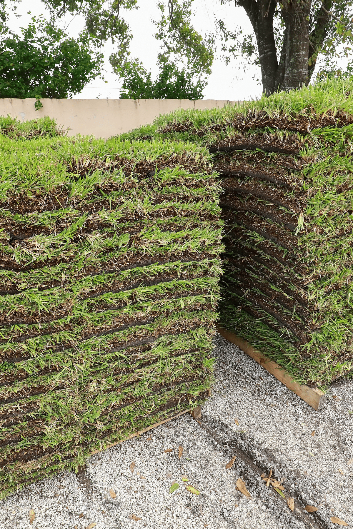 Sod Installation | La Sod & Dirt